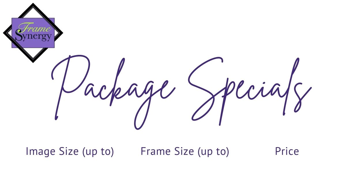Package Pricing Specials - Frame Synergy